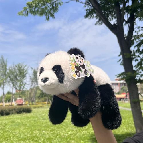 pandaactive熊猫激活下载无限次数版